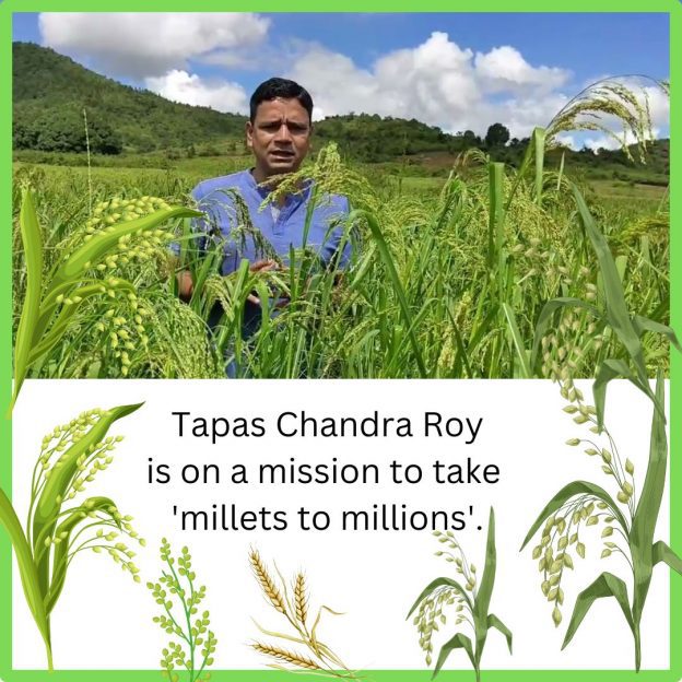 MILLET BUSINESS IDEAS – Tapas Chandra Roy, Author & Certified Farm ...
